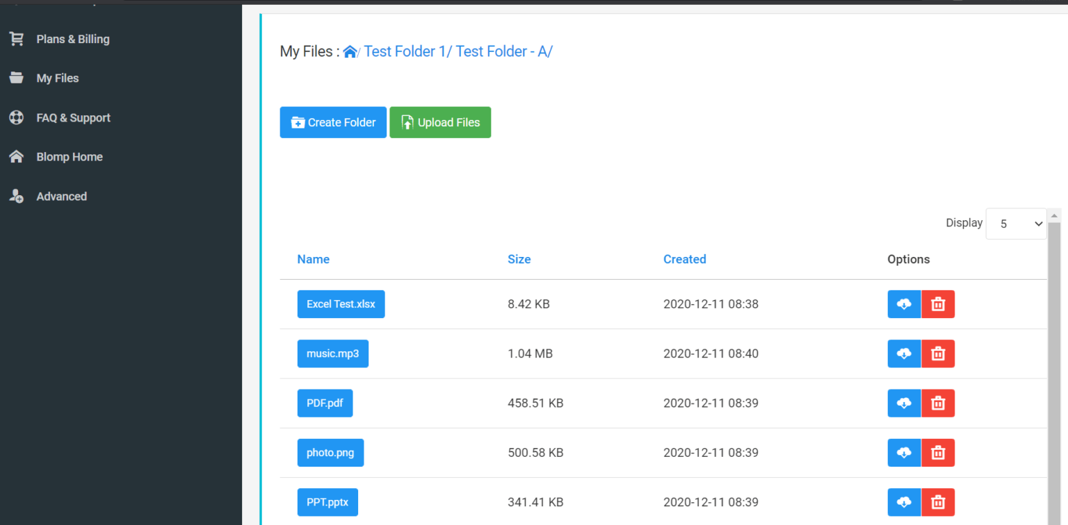 Blomp Review 2025 - Unsecure & Lacks Features