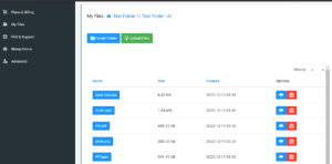 Blomp Review 2025 - Unsecure & Lacks Features