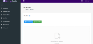 Blomp Review 2025 - Unsecure & Lacks Features