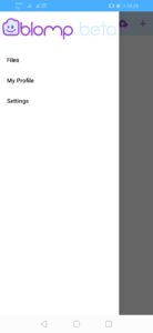 Blomp Review 2025 - Unsecure & Lacks Features