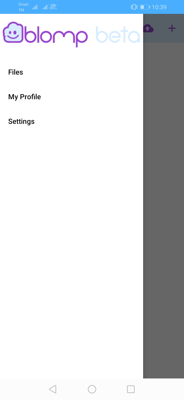 Blomp Review 2025 - Unsecure & Lacks Features