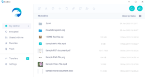 Icedrive Review 2025 - After Two Years of Usage